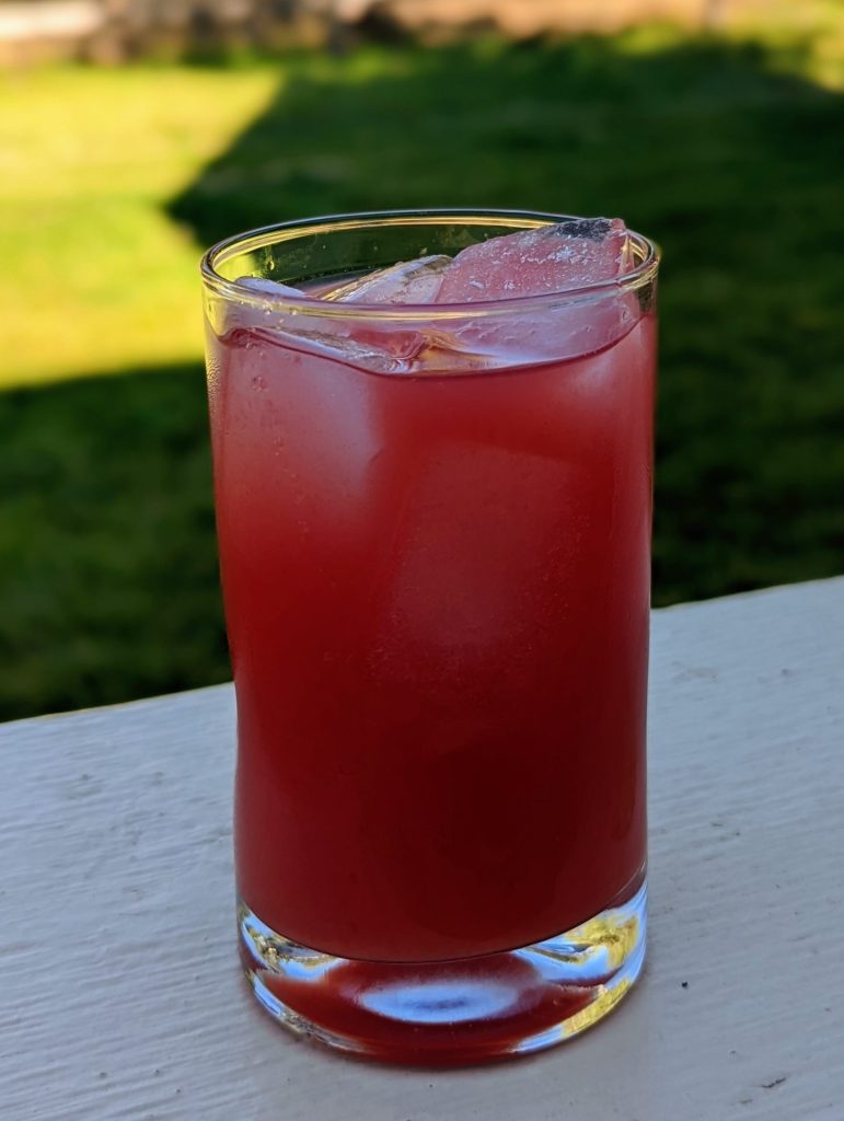 Watermelon Rosemary Lemonade Cocktail - PNW Grill and Sip
